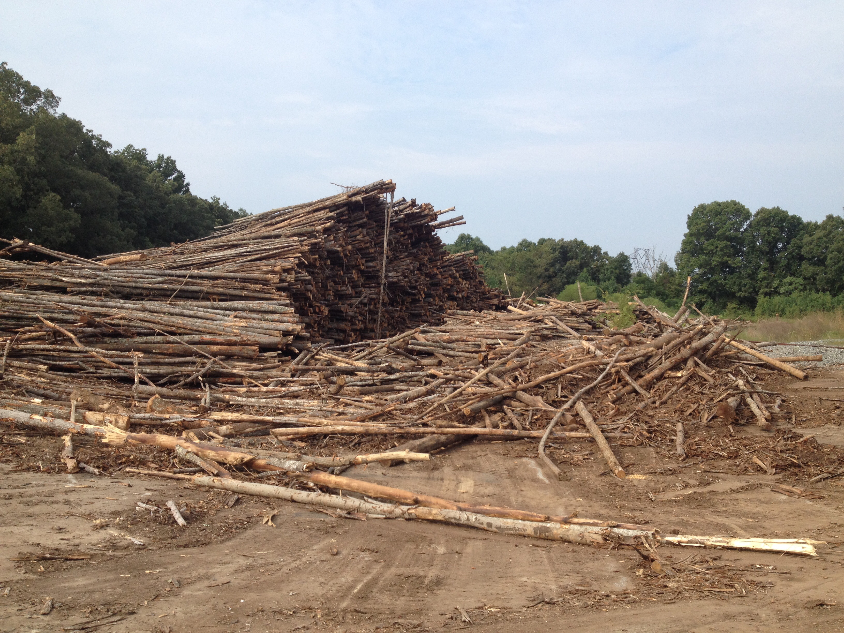 Log stockpile quantity - WOODWEB's Sawing and Drying Forum