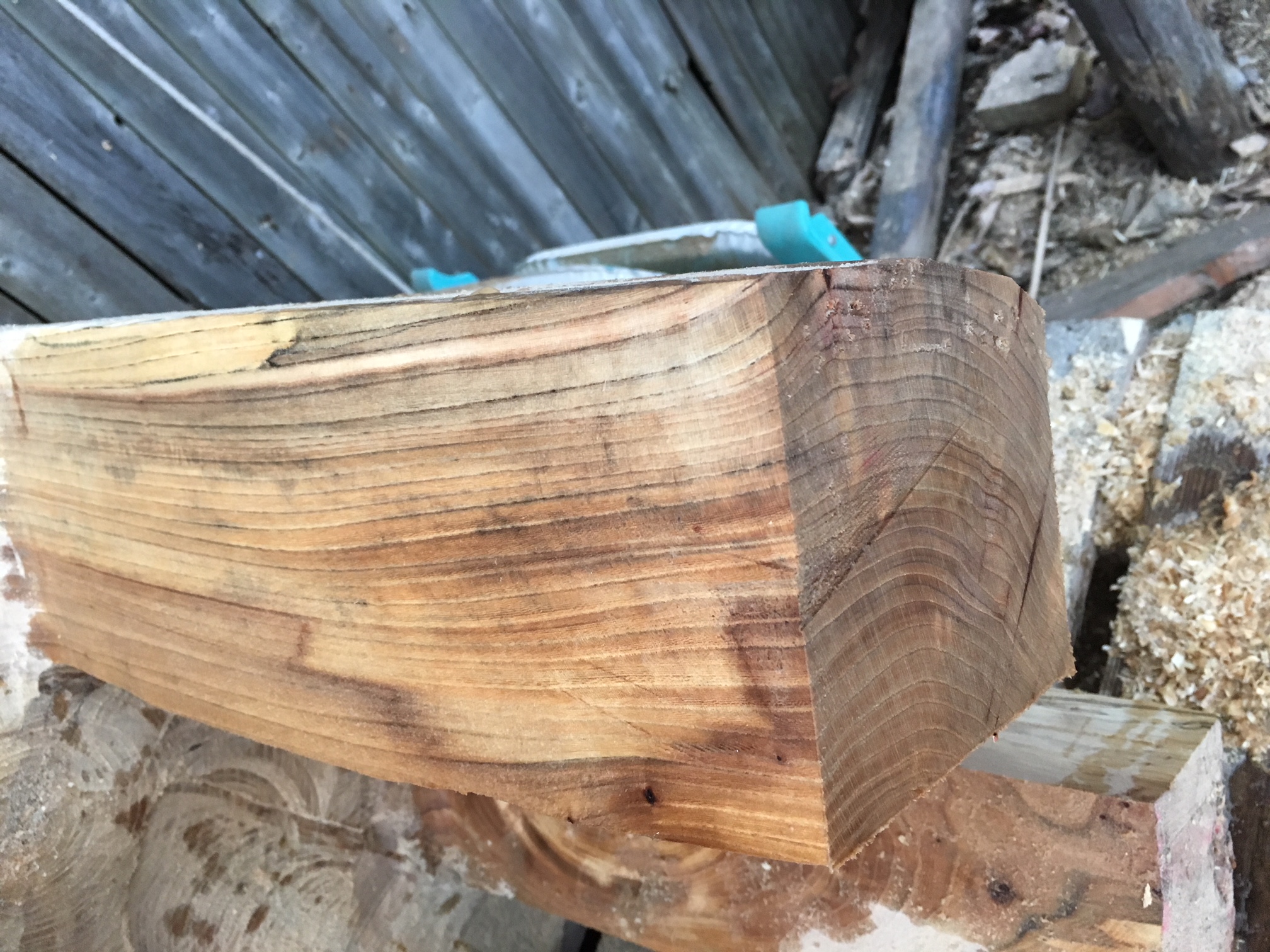 What Wood Species is this - WOODWEB's Sawing and Drying Forum